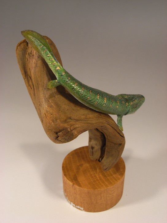 Hirokazu Tokugawa's Paleo Sculpture: Tiktaalik roseae 10