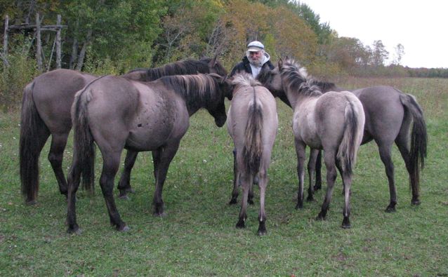 Journal of Ravenseyrie: The Complicated Mystery of Mouse Dun in ...