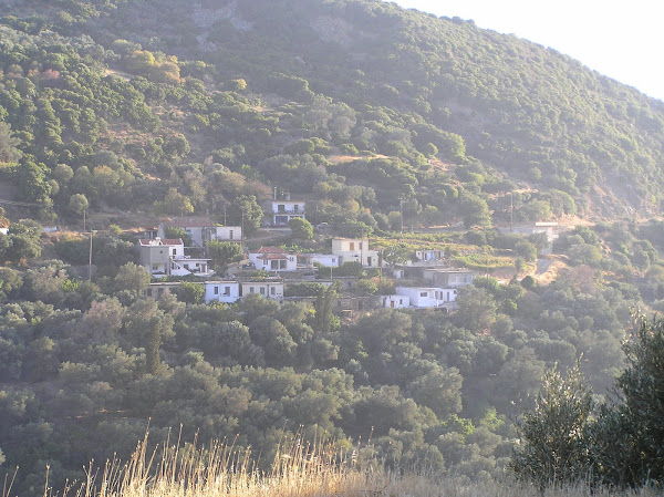 ΚΑΜΠΟΣ ΚΙΣΣΑΜΟΥ ΧΑΝΙΩΝ ΚΡΗΤΗΣ: Ο ΚΑΜΠΟΣ ΣΤΟ ΠΕΡΑΣΜΑ ΤΟΥ ΧΡΟΝΟΥ