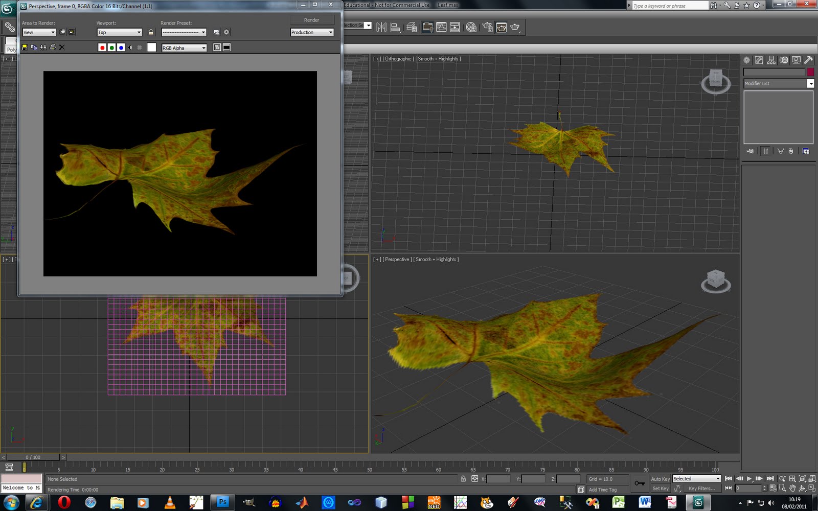 3D Modelling and Animation: Leaf Design