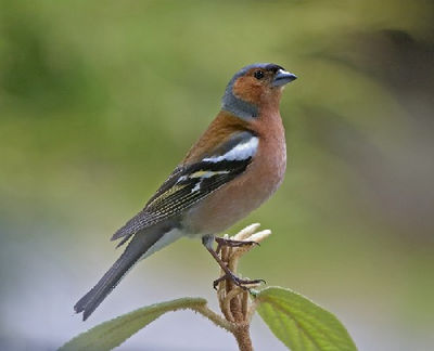 FOTO @.as "tu blog de fotografía"