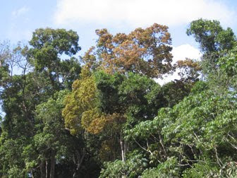 GUYANA, GEOGRAPHY OF GUYANA