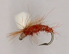 Jon Baiocchi Fly Fishing News: Fishing The Soft Window And The Blood ...