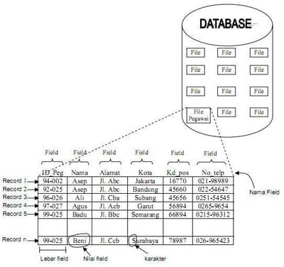 Mengenal Database ~ Teksbook