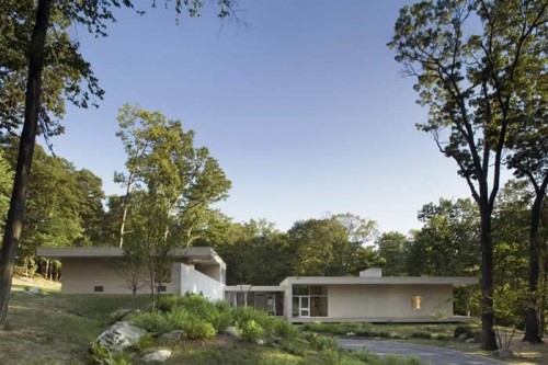 home's design: Natural house