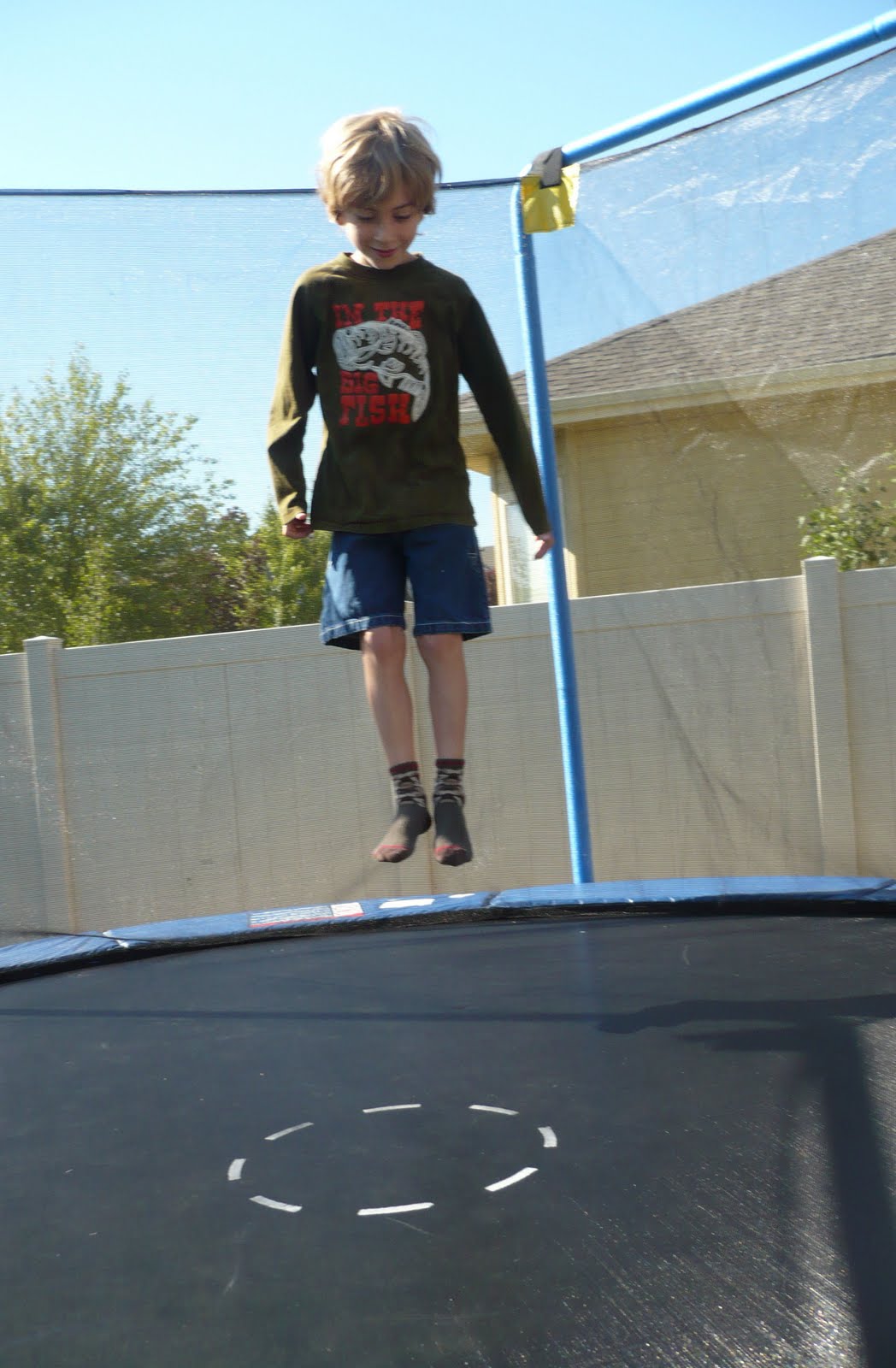 The Swensonics: Trampoline Action Shots