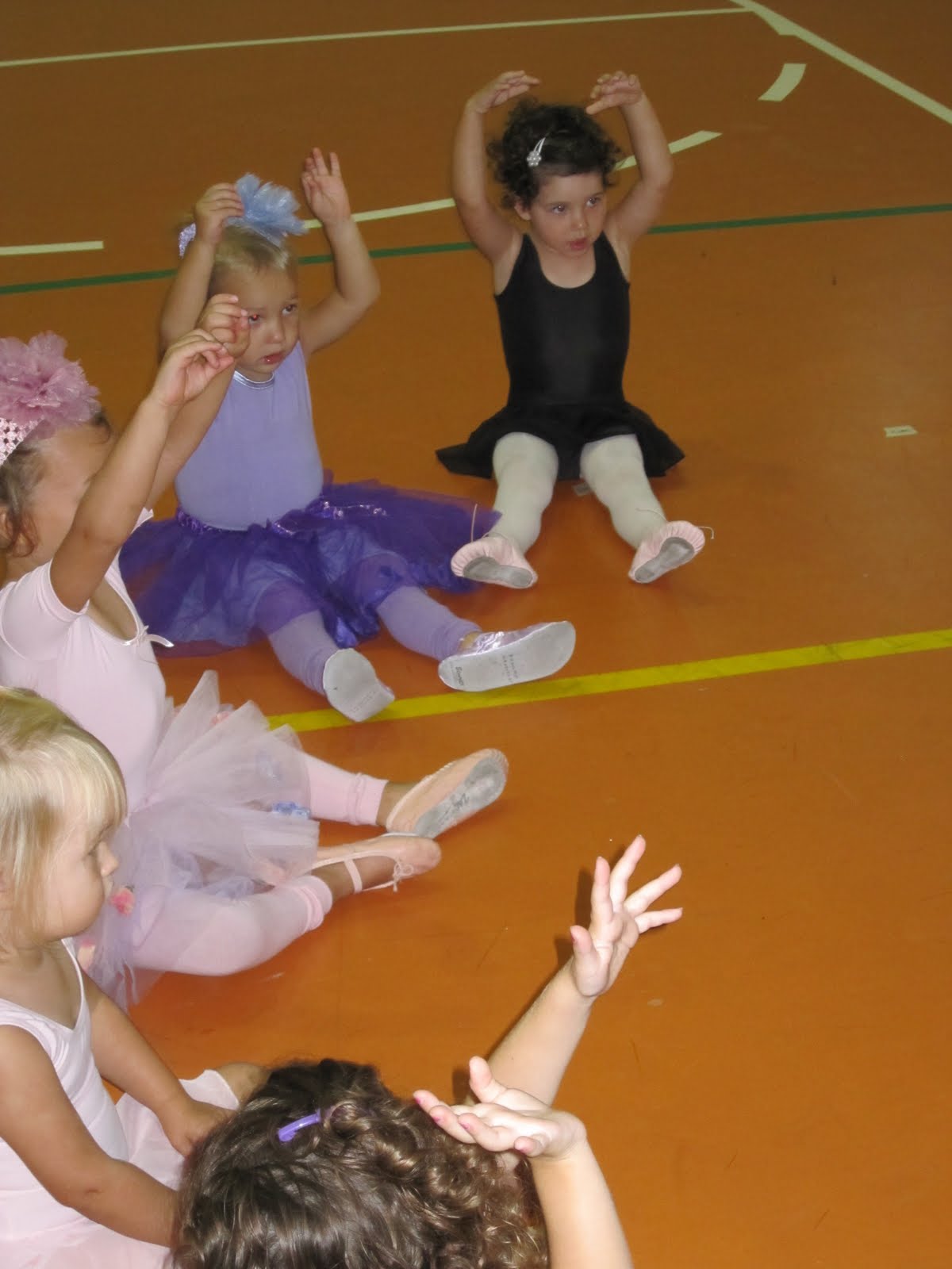 The Honig Adventure: Baby Ballet begins again...