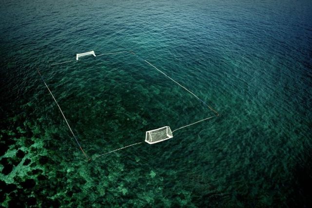 OddFuttos, When The Photos Speak: Amazing Unusual Photos