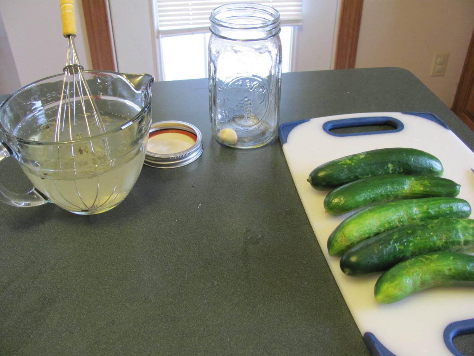 Cheer As You Fly: Pickles Pickles Pickles!!