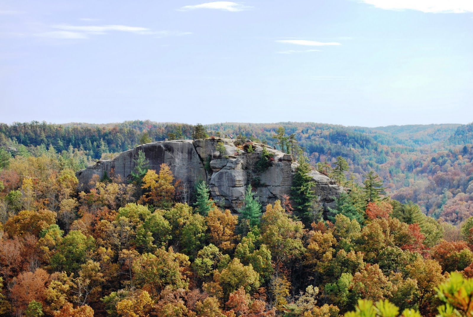 A Picture is Worth a Thousand Words: Daniel Boone National Forest, Kentucky