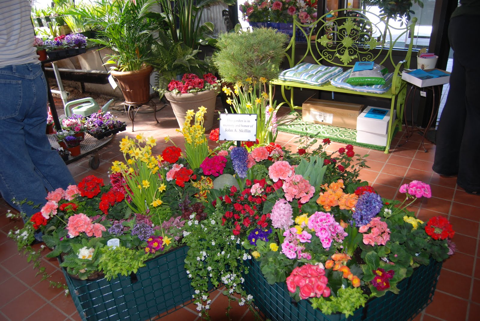 Skillin's Garden Log: Falmouth Spring Open House 2010--Awesome!