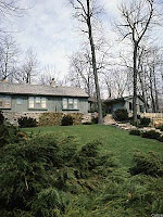 About Camp David: Swimming Pools