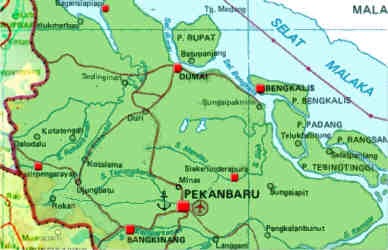 KOTA DUMAI: PROFIL KOTA DUMAI