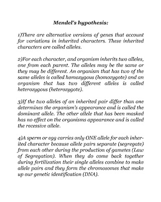 The Visual Aid: Heredity: Patterns of Inheritance