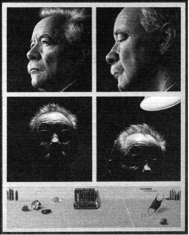 Littérature 2.0: Autour de Winfried Georg Sebald et d'Austerlitz