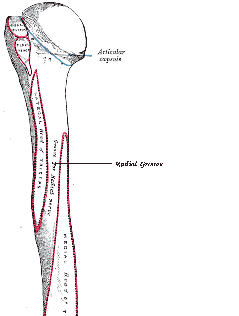 Radial Groove