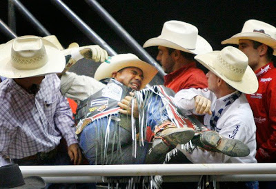 Abraxan Mini Farm: Why We Love To Watch Bull Riding