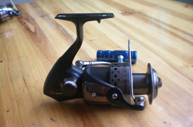 PENN SARGUS SG6000 spinning reel : Fishing Reels