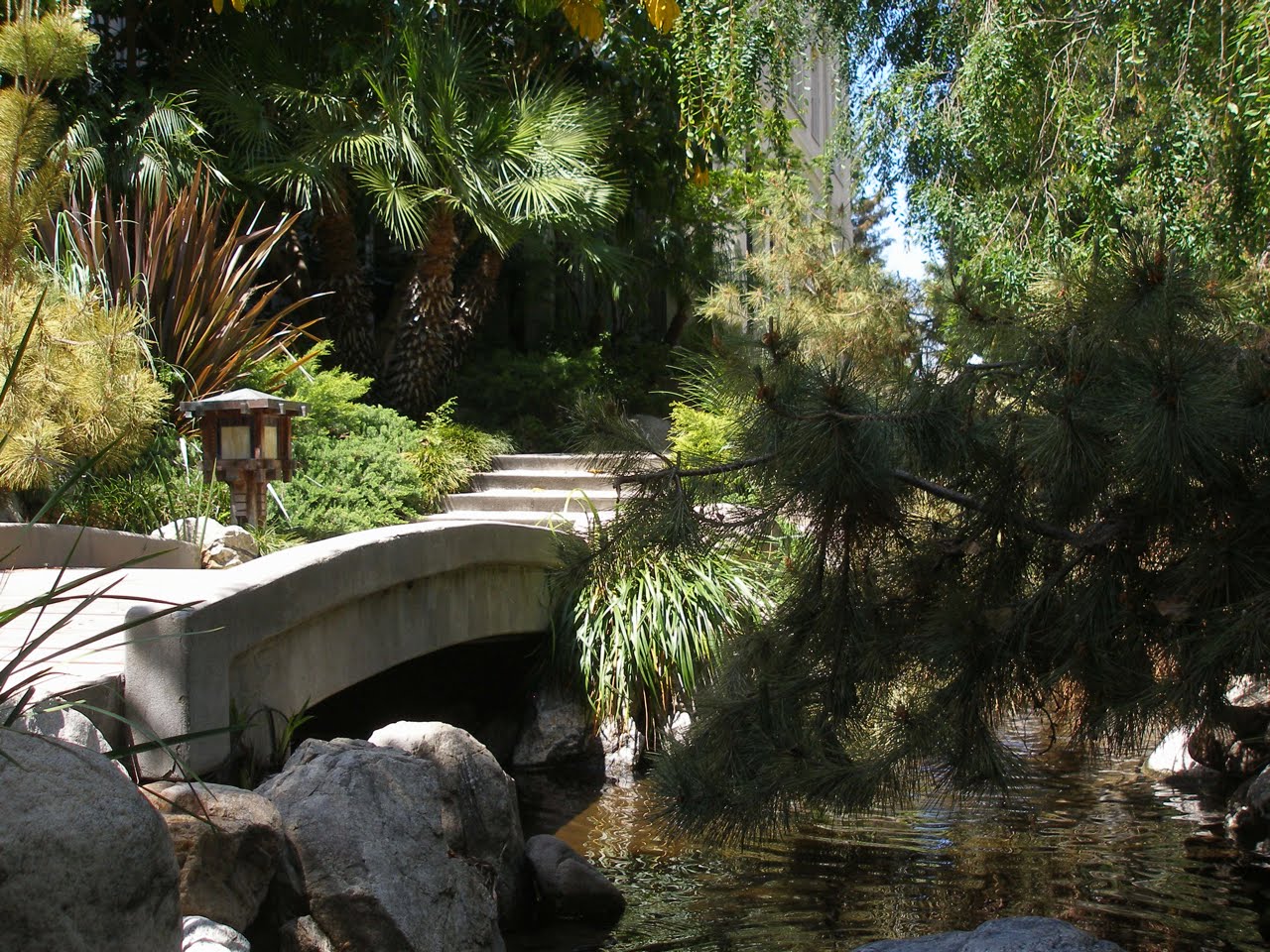 Living Vicuriously, aka Pasadena Daily Photo, has moved.: 4/25/10 - 5/2/10