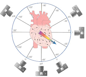 ELI5: The different components of an ECG report : r/explainlikeimfive