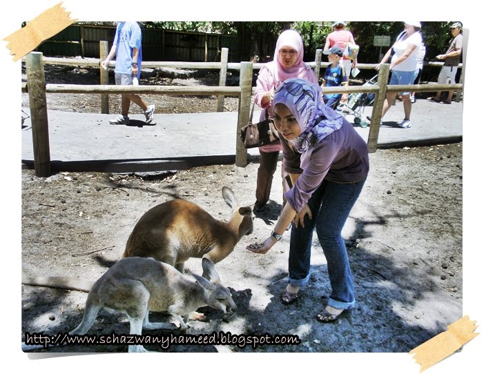 Shazwani Hamid's Blog: Top 10 Perth Destinations!