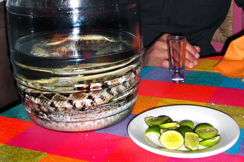 Musings of Snappybob and other Nonsense: Rattlesnake Tequila