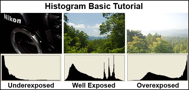 Cara membaca histogram dalam kamera foto