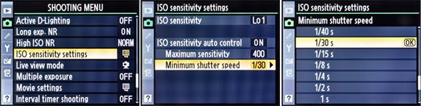 The Nikon Companion: Understanding the Nikon ISO Sensitivity Auto ...