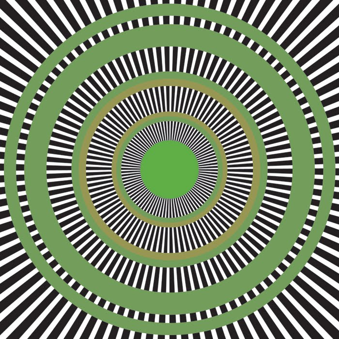 Interesting Lessons Learned: Art as Visual Research: Kinetic Illusions ...