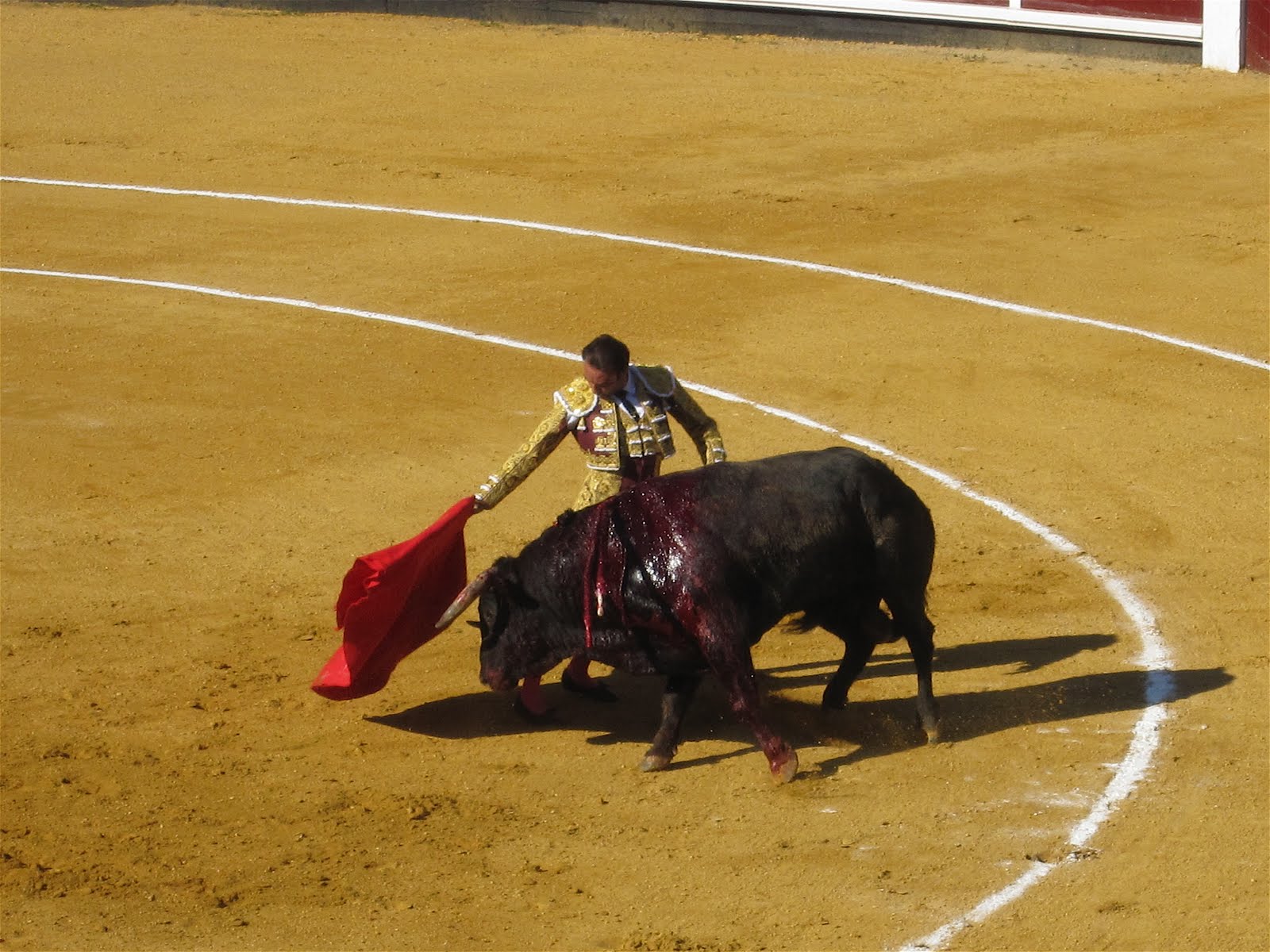 ¡Mi Primavera en España!: Corrida De Torros