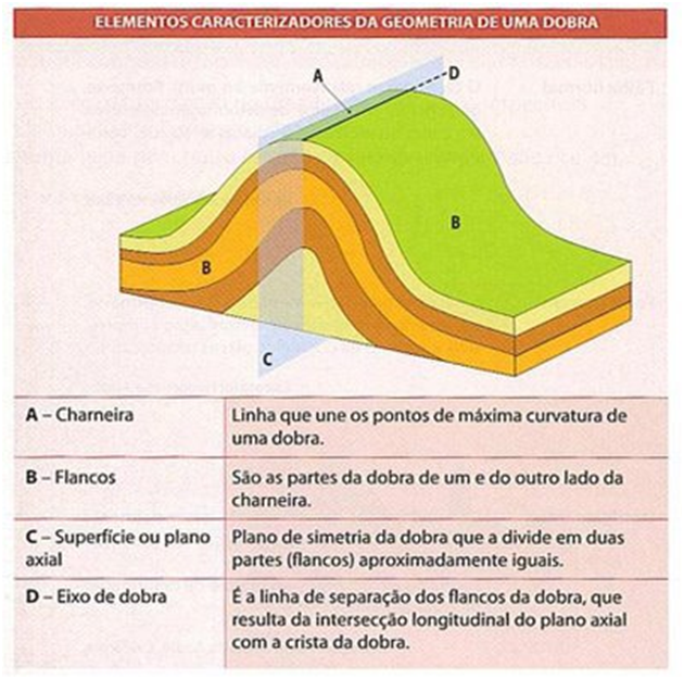 Biologia/Geologia 11