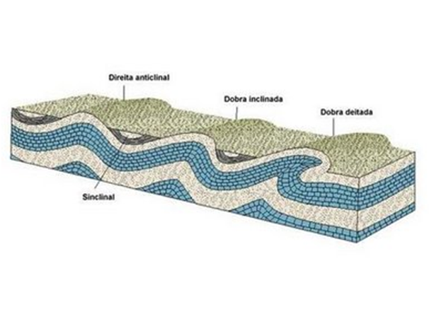 Biologia/Geologia 11