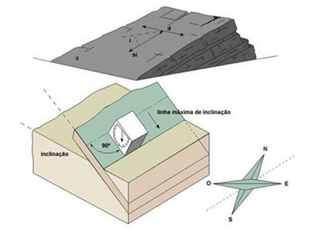 Biologia/Geologia 11