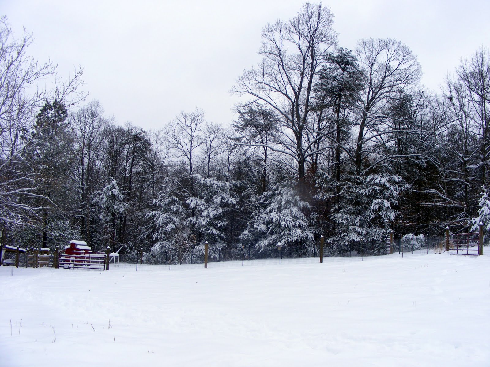 aloha-windmill-farms-fun-things-to-do-in-the-snow