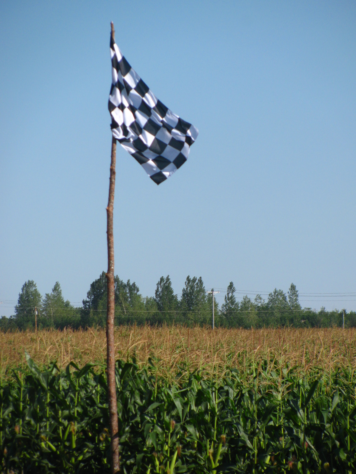 Country Corn Maze: PHOTOS
