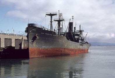 Bill's Save The Last Two Victory Ships