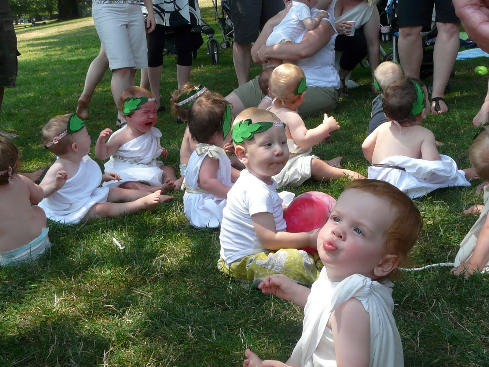Brooklyn Bean: Baby Toga Party