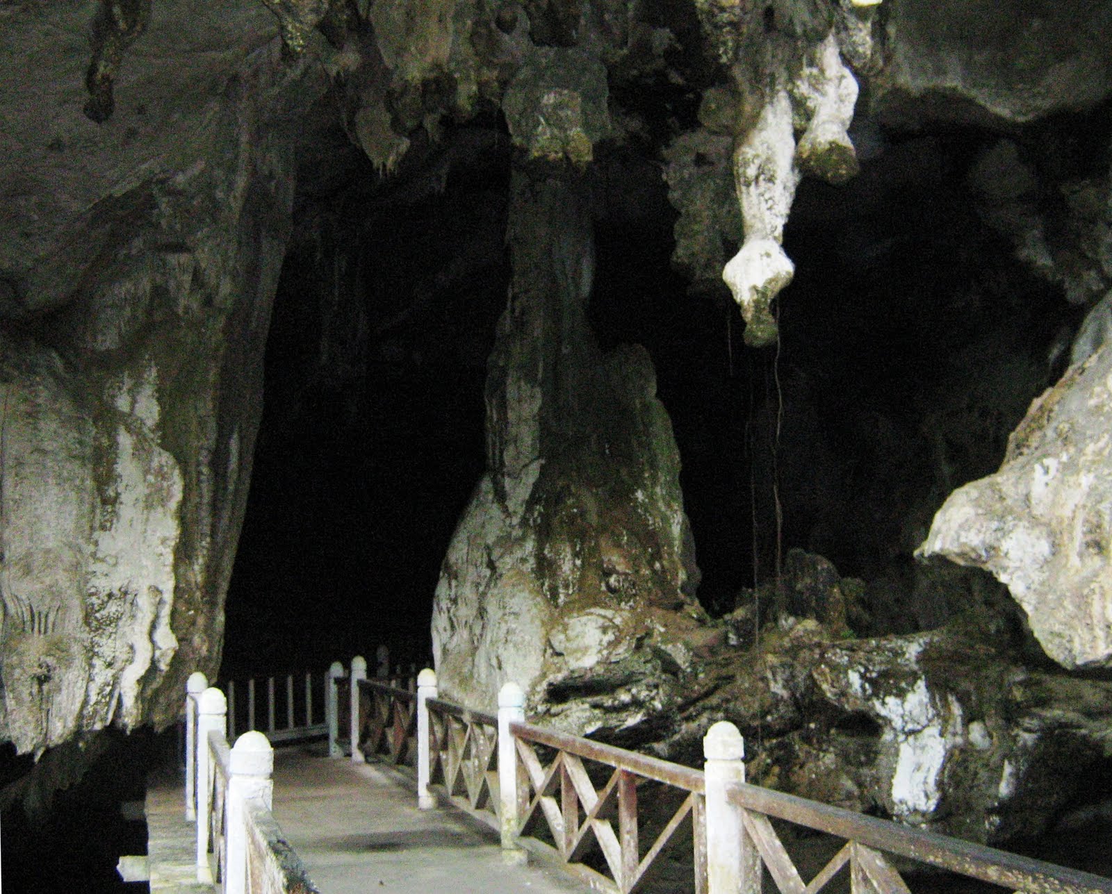 Langkawi Mangrove Tours: Bat Cave