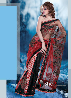 Indian Saree | Saree for Night Parties | Sarees of India 2010