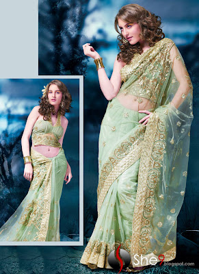 Indian Saree | Saree for Night Parties | Sarees of India 2010 | Indian ...