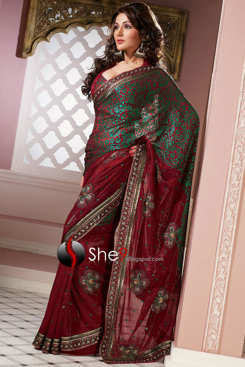 Saree | Indian Saree Collection 2010 - 2011 | Indian Saree Designs ...