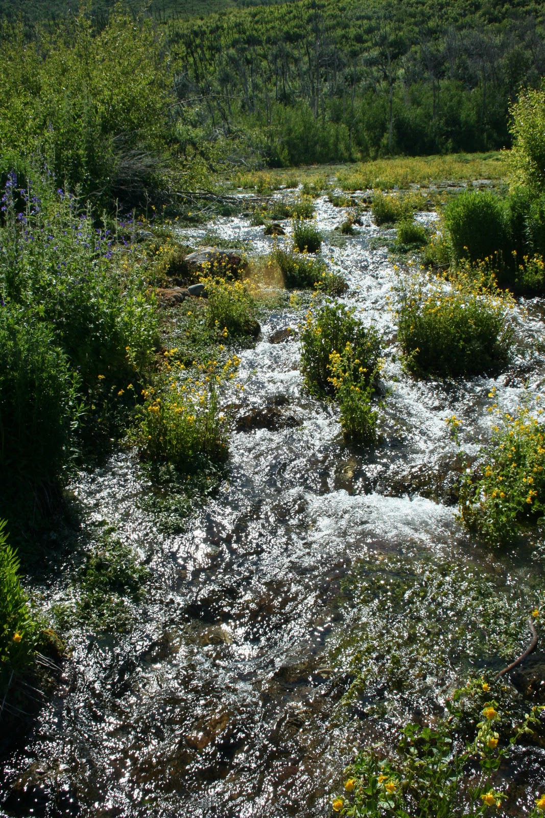 Just to let you know...: Heber City and Cascade Springs