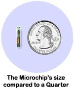 Blue Springs Animal Hospital & Pet Resort: AVID Microchip for your pet