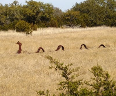 Real Dragons Found Alive