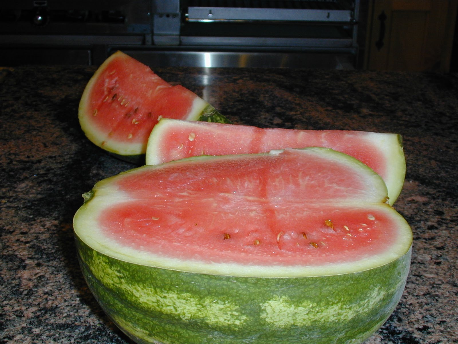 Gardening at Draco: Watermelon at Thanksgiving.
