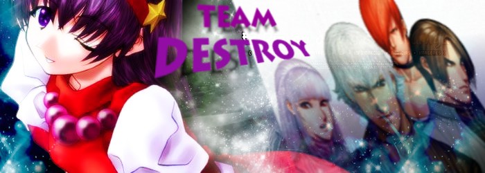 TEAM DESTROY