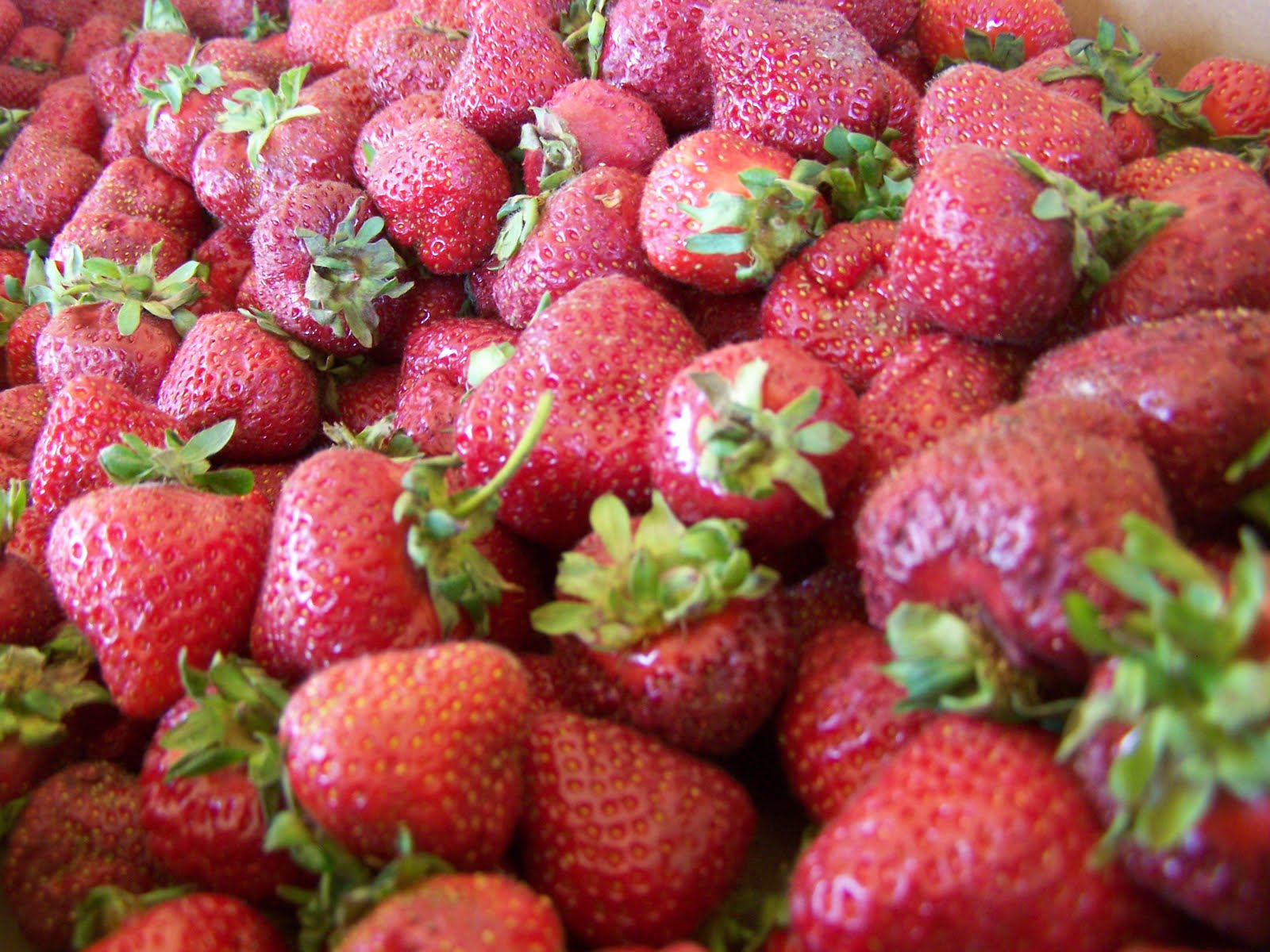 A Handmade Life: Strawberries!