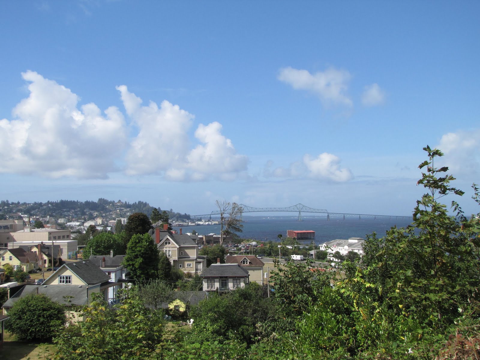 one.year.trip: Down in the Goondocks / Olympic National Park