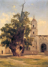 Los Arboles del Bicentenario: Símbolo Histórico para todos los Mexicanos.