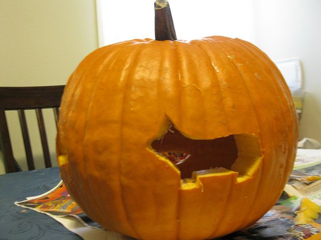 Bailey the Corgi: Pumpkins